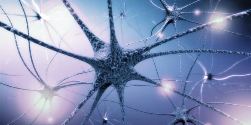 Multiple Sclerosis (MS) Disability Benefits - Hall & Rouse, P.C.